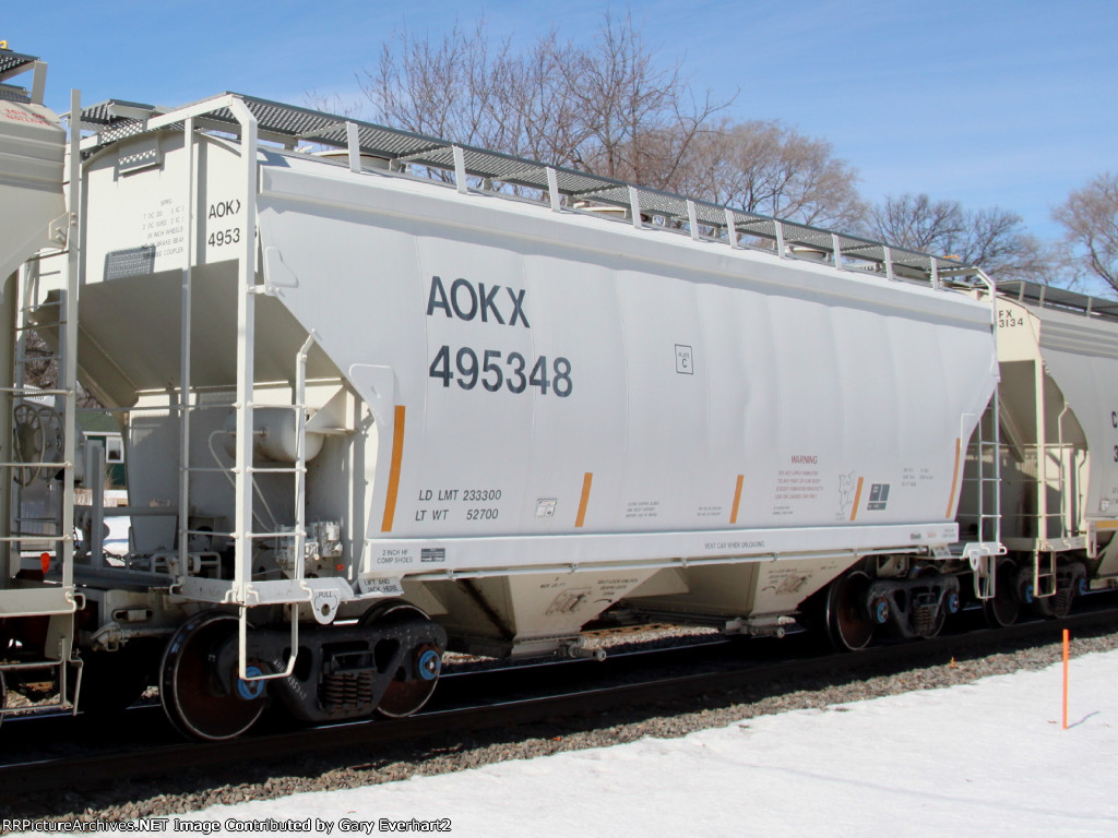 AOKX 495348 - Greenbrier Management Services